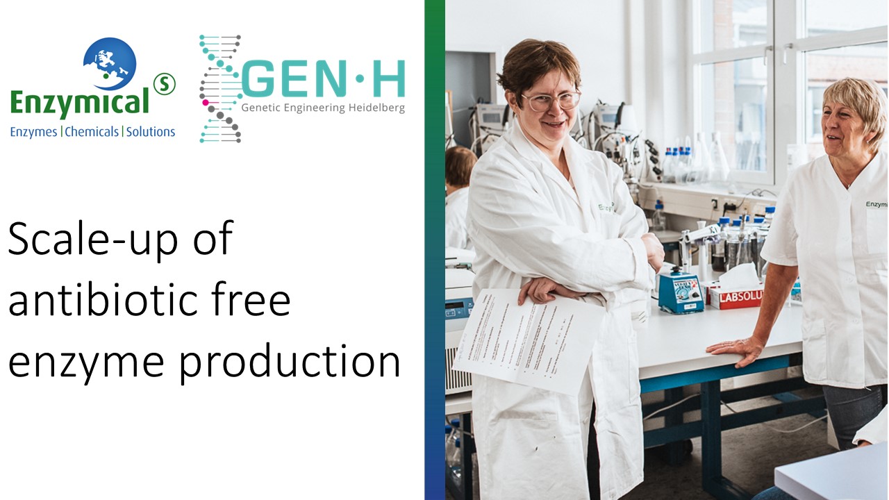 Scale up of antibiotic-free enzyme production at Enzymicals | GEN-H